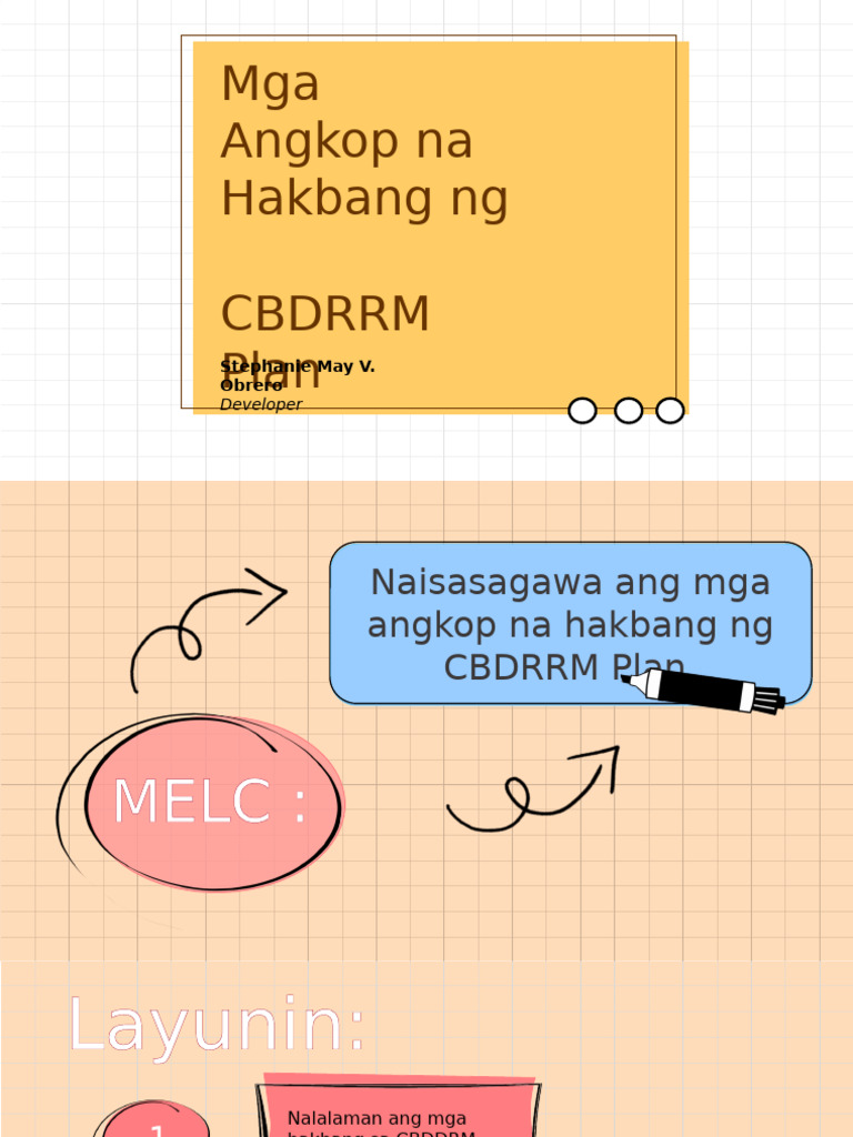 CBDRRM Plan | PDF