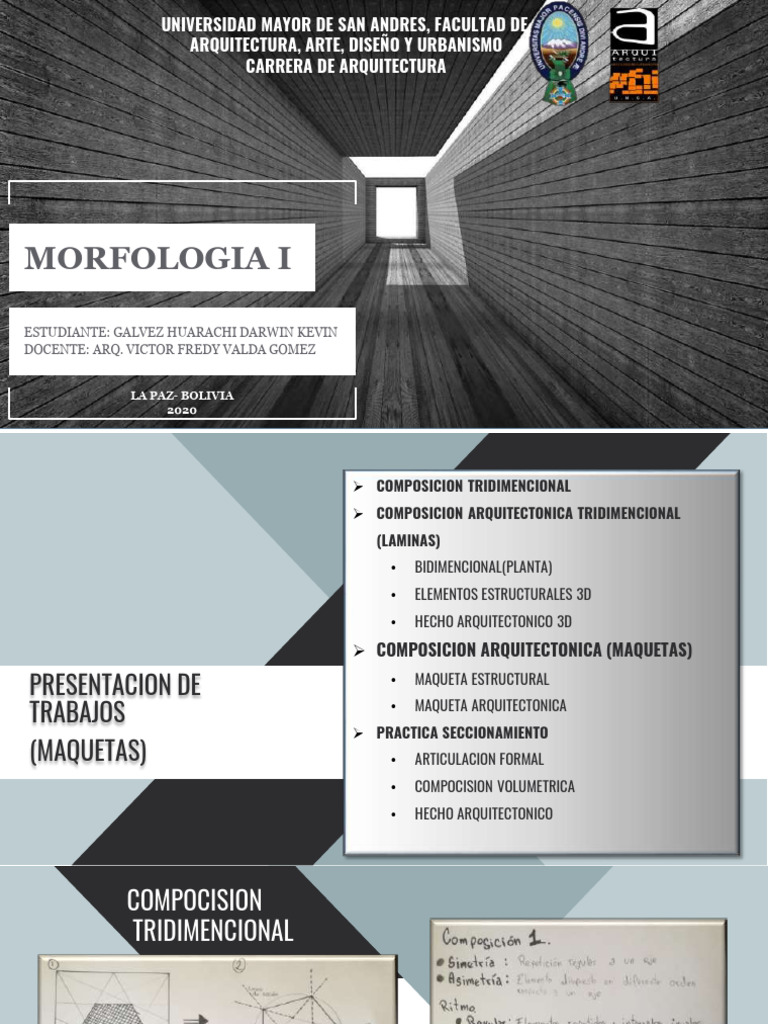 MORFOLOGIA I PRESENTACION DE TRABAJOS DARWIN KEVIN GALVEZ HUARACHI | PDF