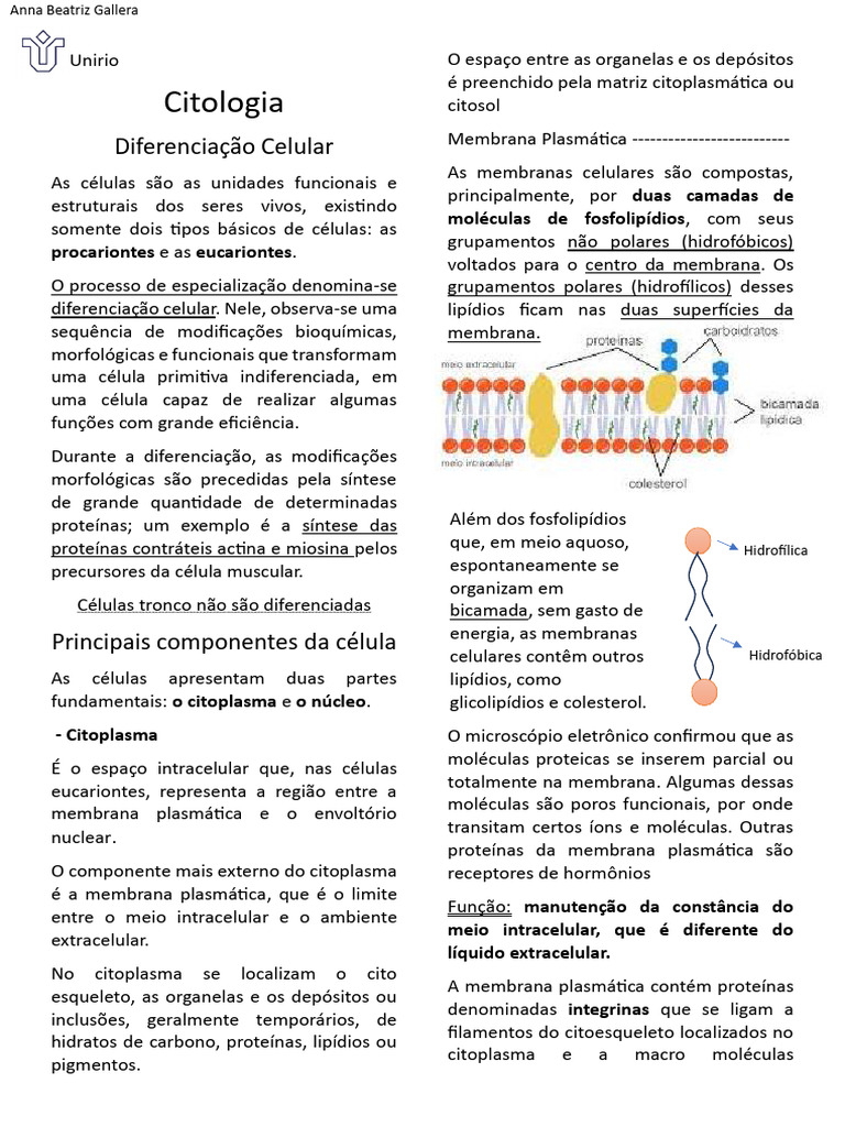Citologia - resumo | PDF | Célula (Biologia) | Membrana celular