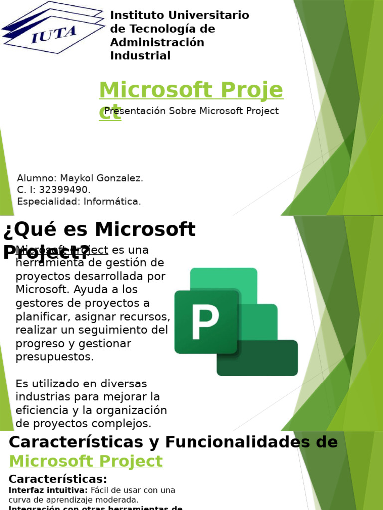 Presentación Sobre Microsoft Project | PDF