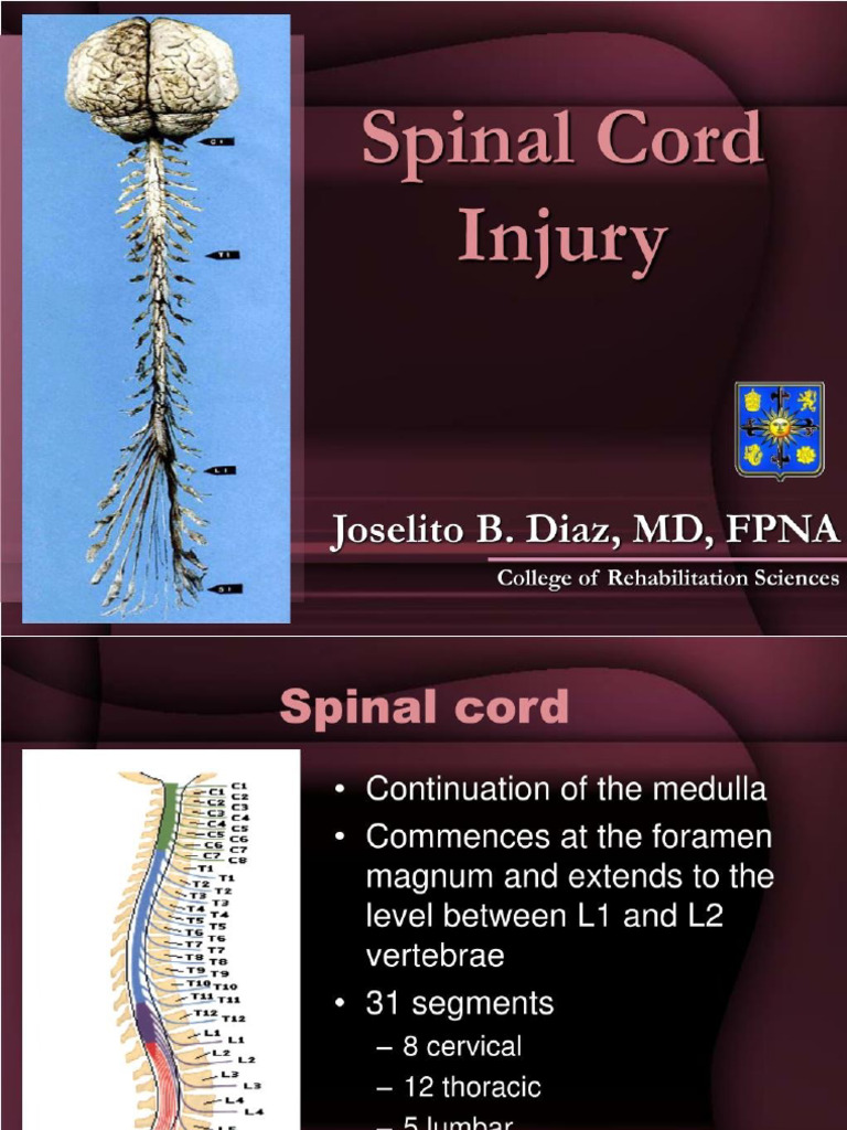 Spinal Cord Injury | PDF