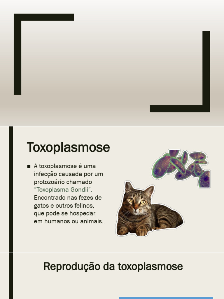 Toxoplasmose: Causas, Sintomas e Tratamento | PDF | Ciências da Saúde ...
