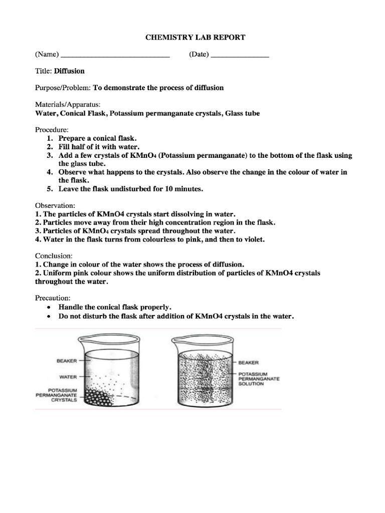Lab Report (Guided) for Diffusion | PDF
