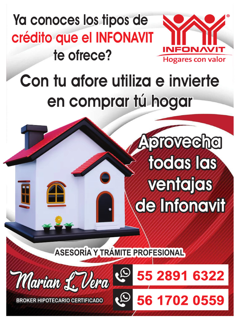 Infonavit 15 Tabloides | PDF