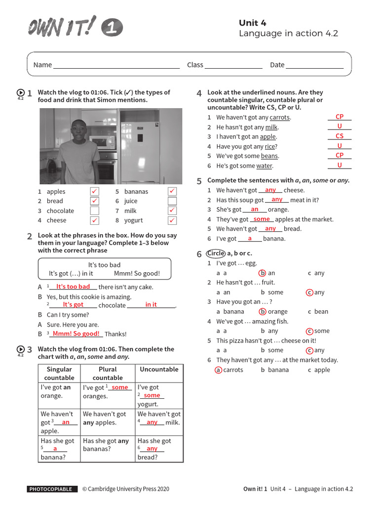 Language_in_Action_vlog_Unit4_with_answers | PDF | Plural | Linguistics
