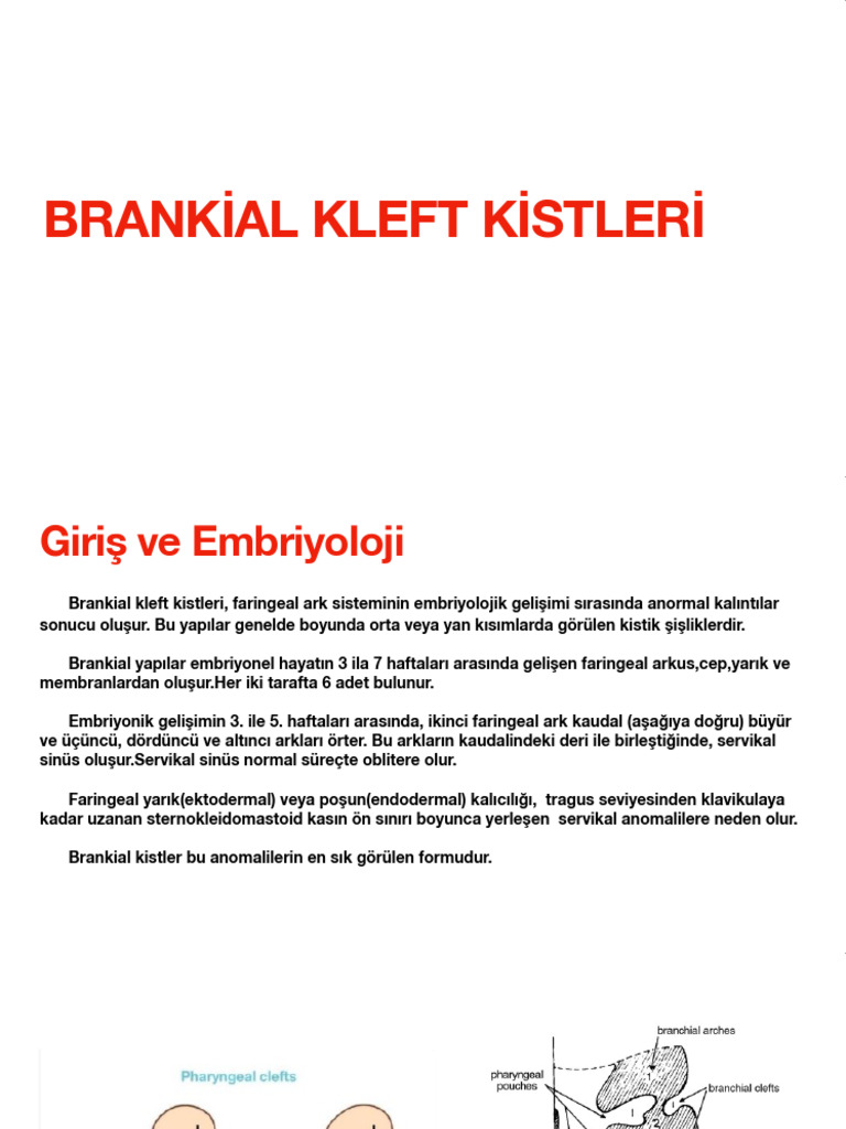 Brank Al Kleft K Stler | PDF