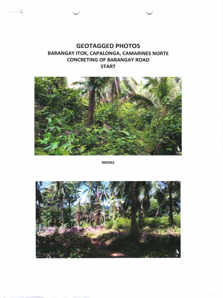 C3 - Before Photos - Itok | PDF