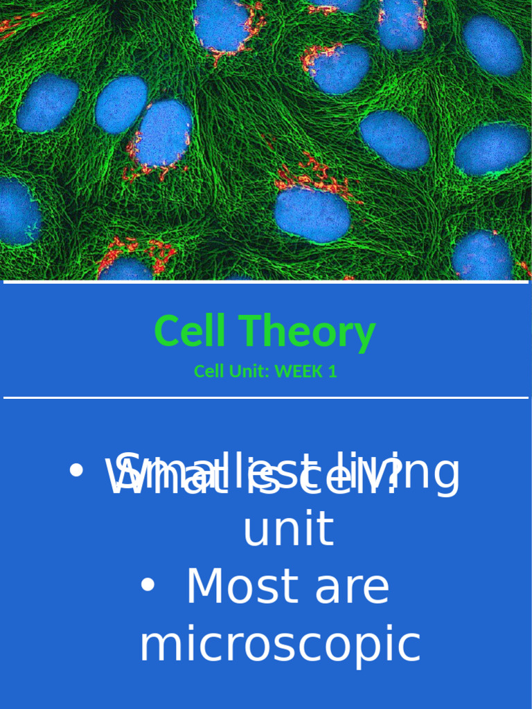 #2 Cell Theory - Cell Structure - Prokaryotic & Cell Types | PDF | Cell ...