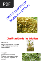Ciclo de Vida y Reproducción de Musgos | PDF | Musgo | Plantas