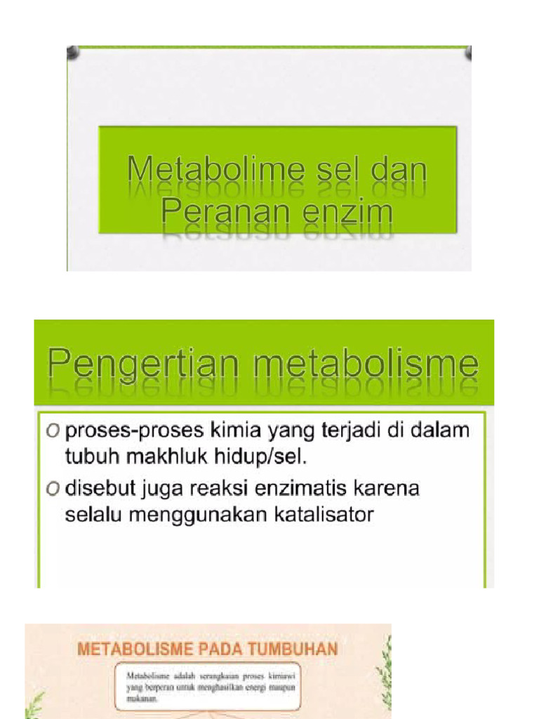 13.enzim Tumbuhan | PDF