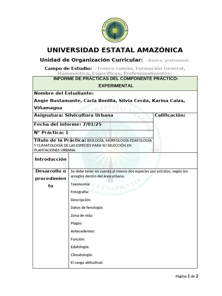 2 Informe - Estudiante - Cpe | PDF