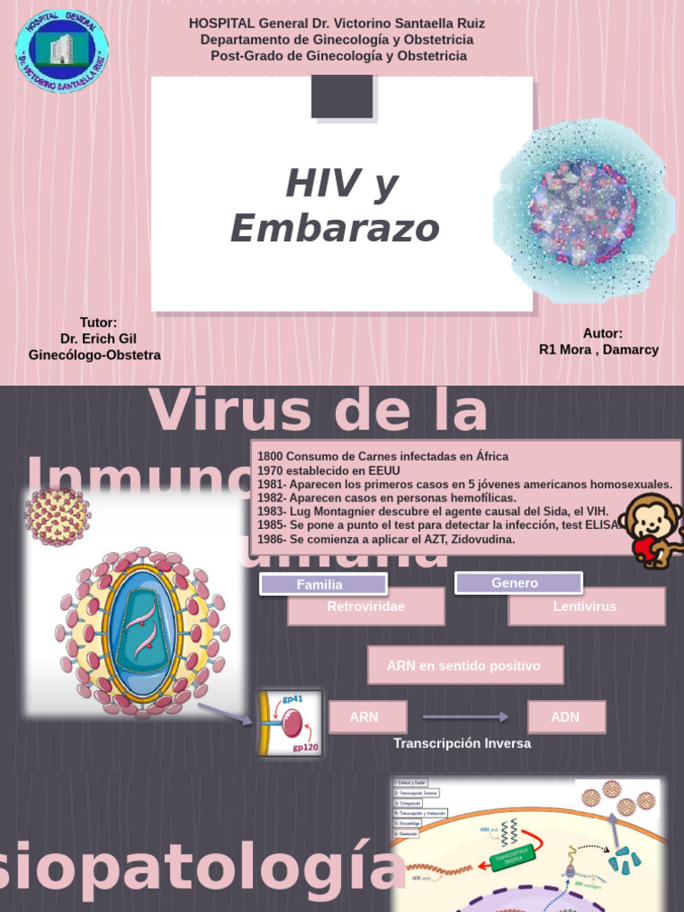 HIV y Embarazo-1 | PDF | VIH | El embarazo