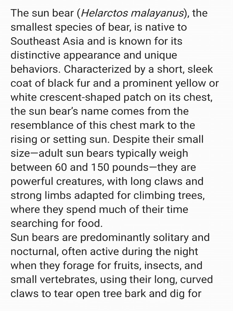 Sunbears today_250114_170830 | PDF