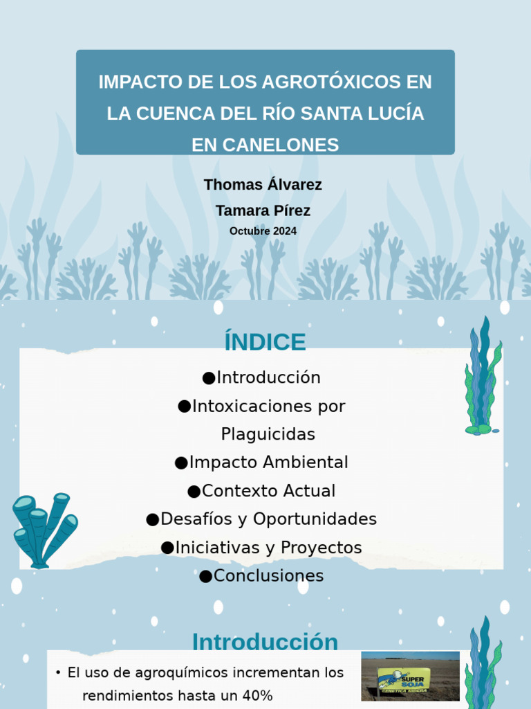 1-Presentación Cuenca Sta Lucía | PDF | Pesticida | Eutrofización