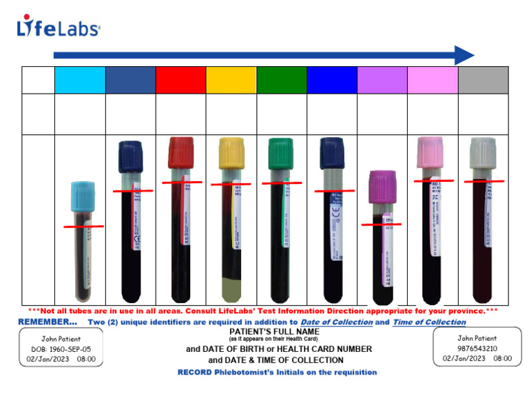 Client Order of Draw and Fill Level | PDF | Medicine | Blood