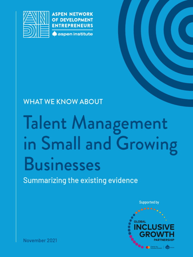 ANDE Talent Management in Small and Growing Businesses | PDF | Talent ...