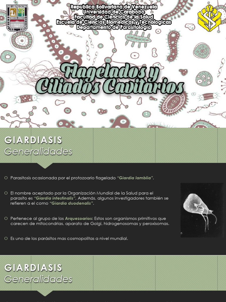 CLASE 14 Flagelados y Ciliados Cavitarios | PDF | Especialidades ...