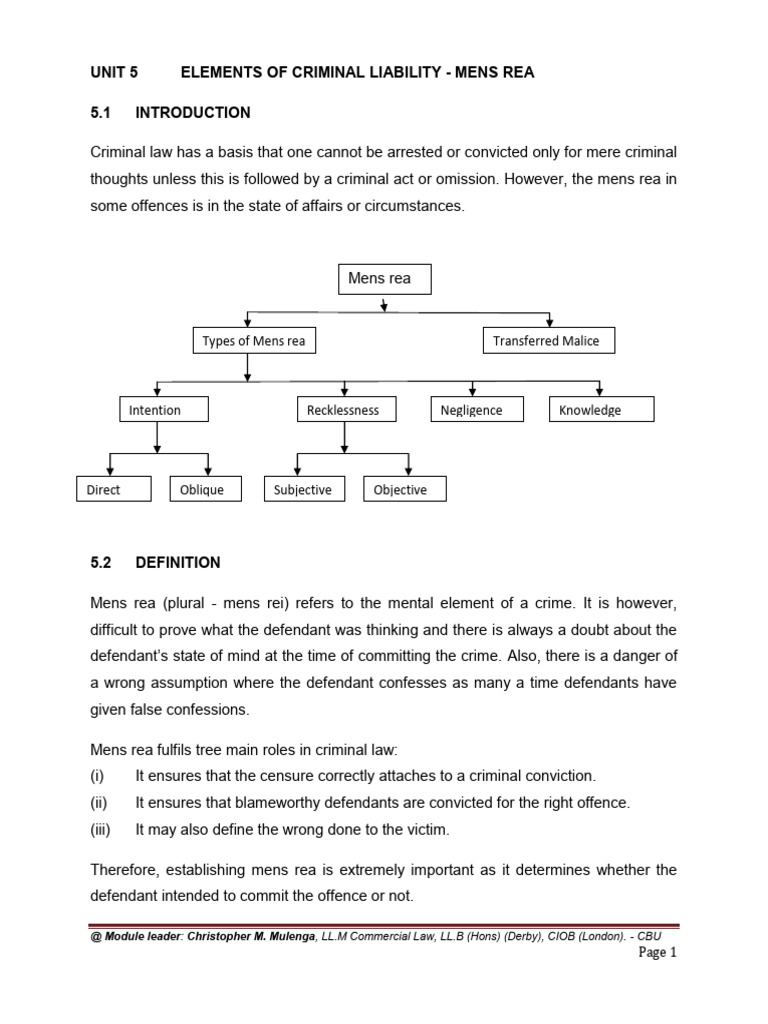 Understanding Mens Rea in Criminal Law | PDF | Mens Rea | Recklessness ...