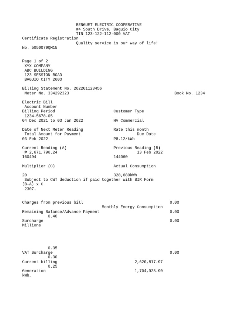 BENECO Electricity Bill Overview 2022 | PDF | Value Added Tax ...