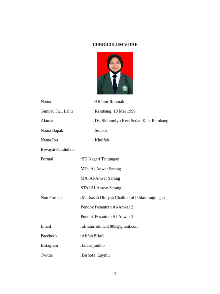CV Fafa | PDF