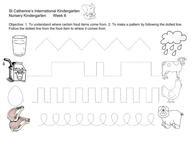 Food Origins Worksheet for Kids | PDF