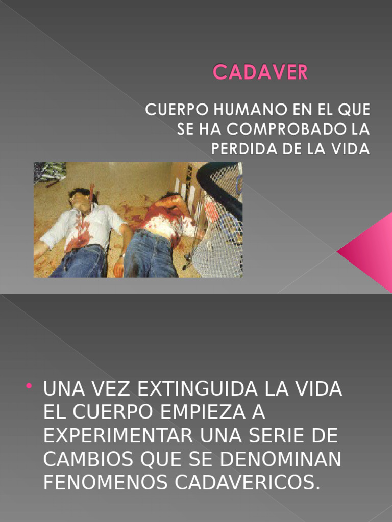 E Cadaver | PDF | Descomposición | Sistema circulatorio