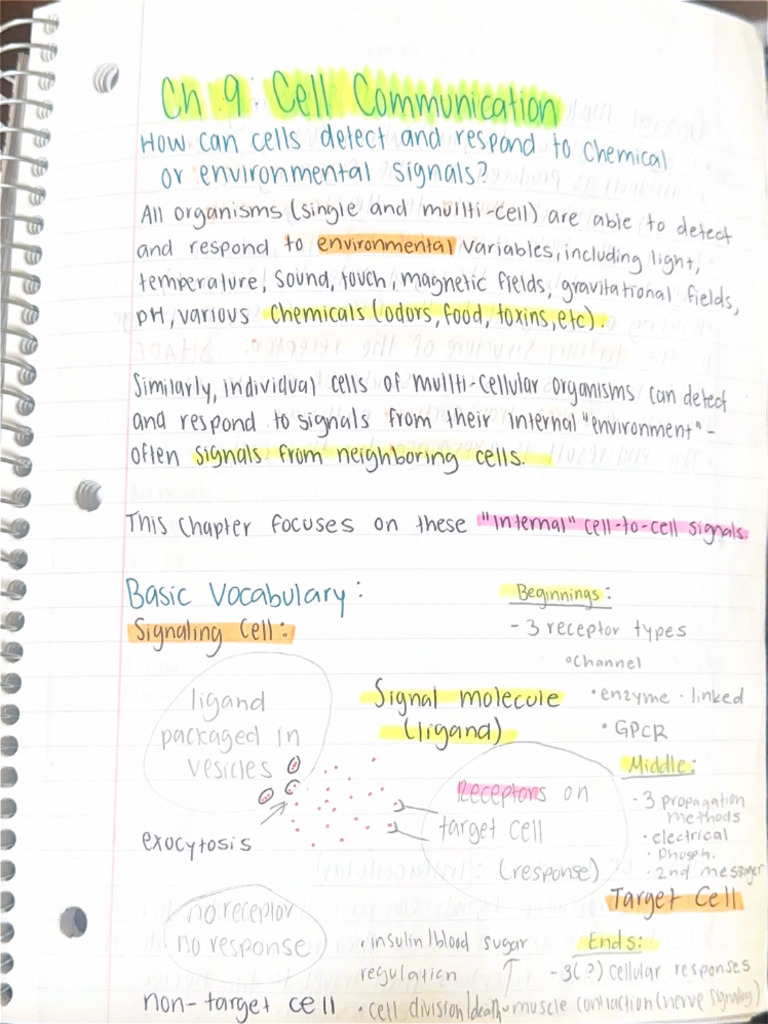 ch. 9 cell communications | PDF