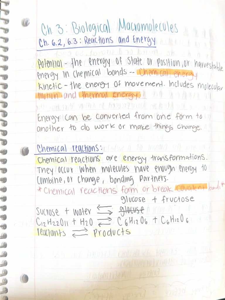 Ch. 3 Biological Macromolecules | PDF