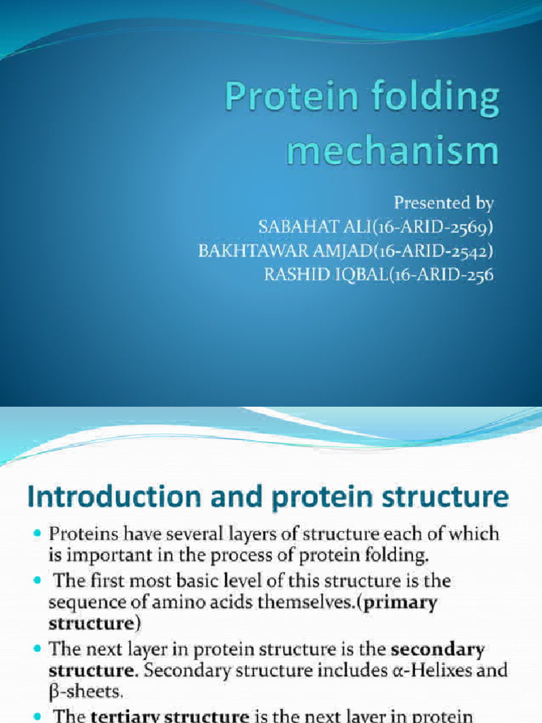 Mechanism of Protein Folding | PDF