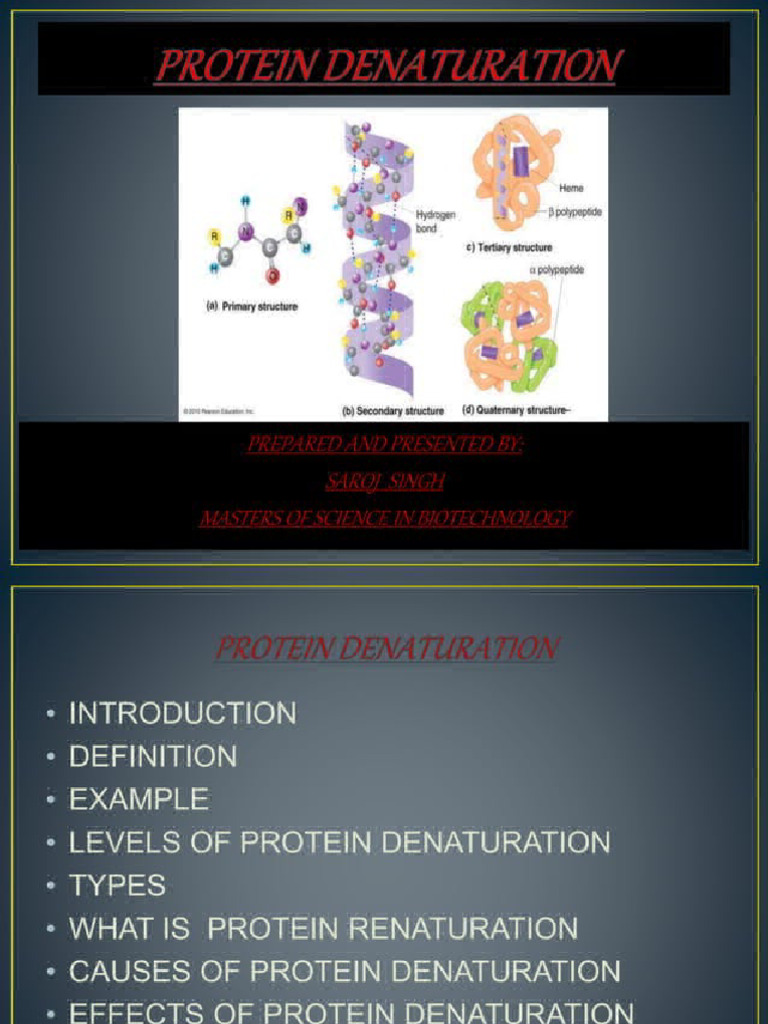 Protein Denaturation Points | PDF