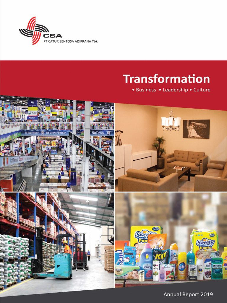 CSA-Annual-report-2019 | PDF | Equity (Finance) | Balance Sheet