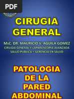Anatomía de La Región Inguinal | PDF | Abdomen | Sistema musculoesquelético