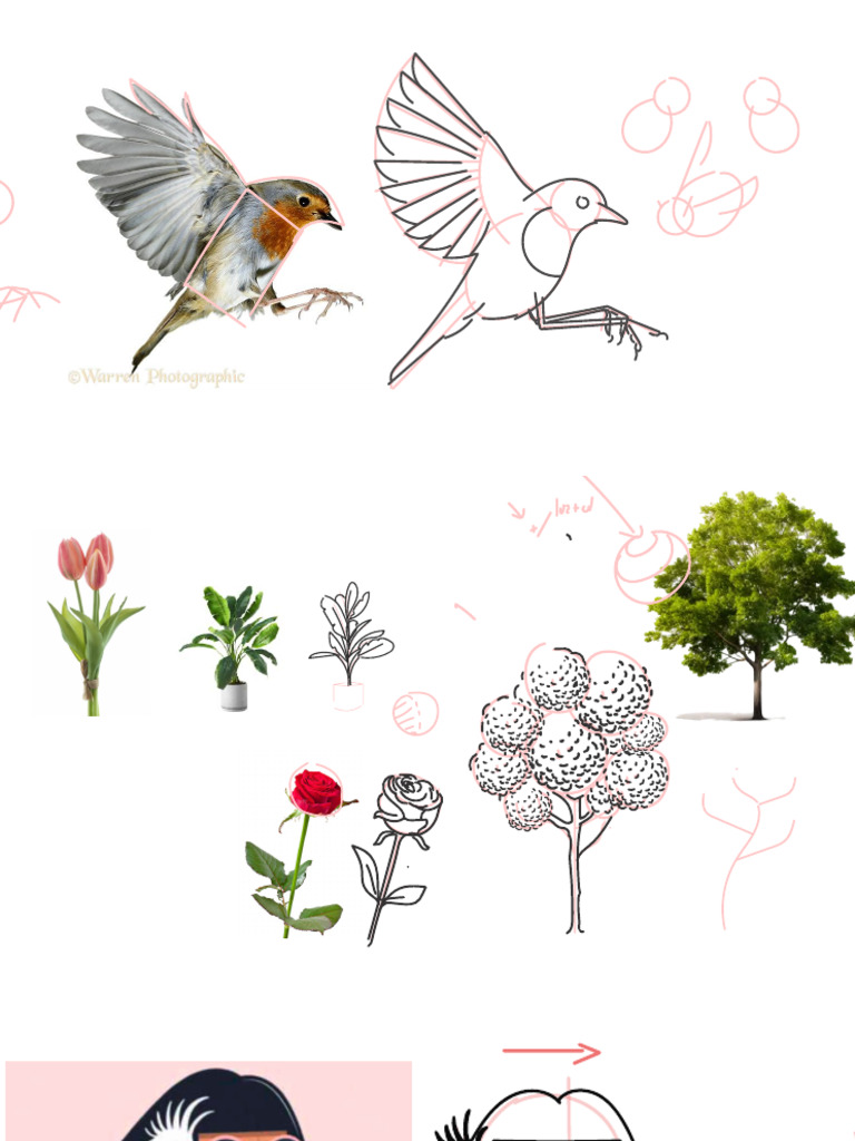 Repaso - Aspectos - Dibujo 1 | PDF