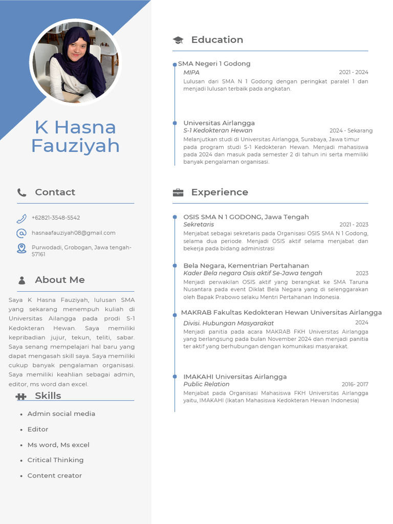 Modern Professional CV Resume PDF | PDF
