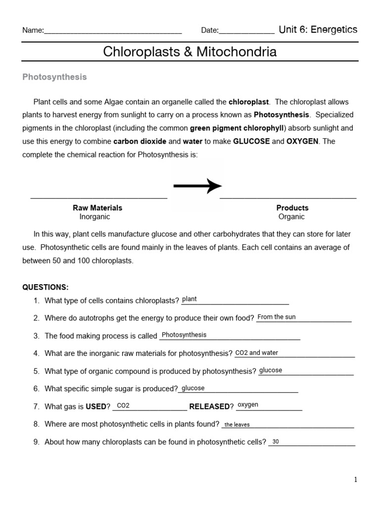 Chloroplast and Mitochondria | PDF | Cellular Respiration | Adenosine ...