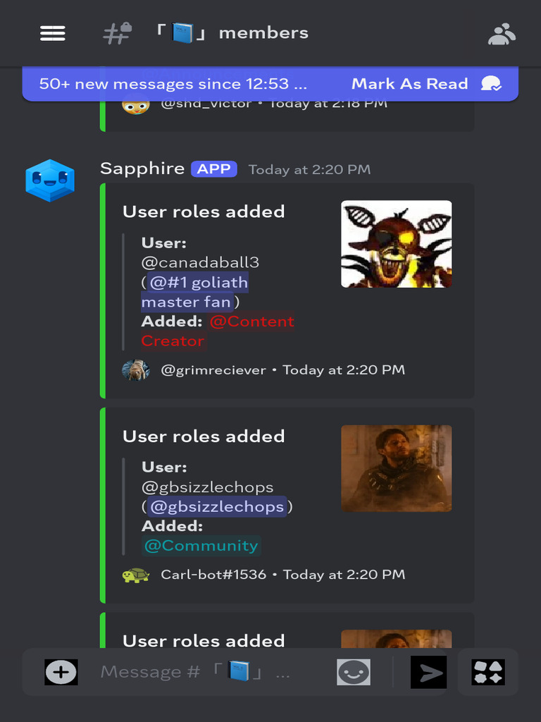 Sapphire App User Roles Update | PDF