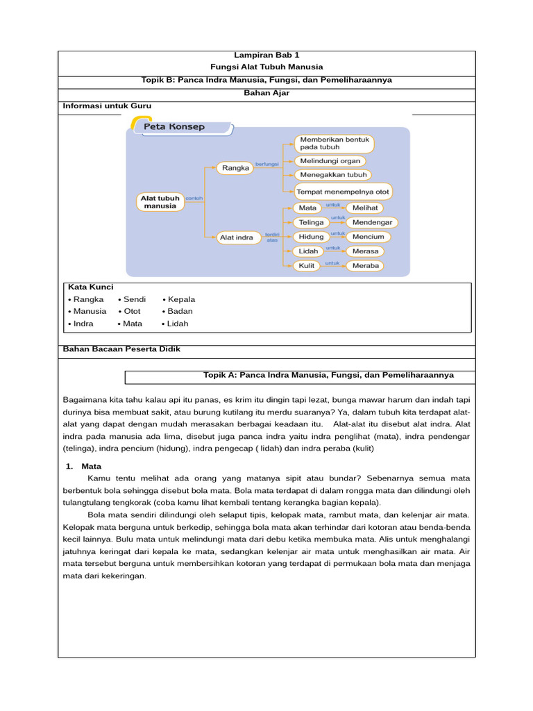 Bahan Ajar, LKPD Ipas Panca Indra | PDF