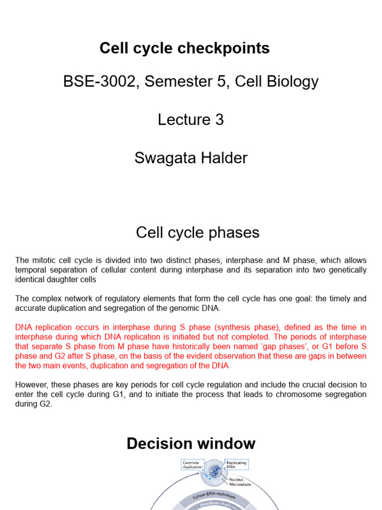 Checkpoints Lecture 3 | PDF | Cell Cycle | Mitosis