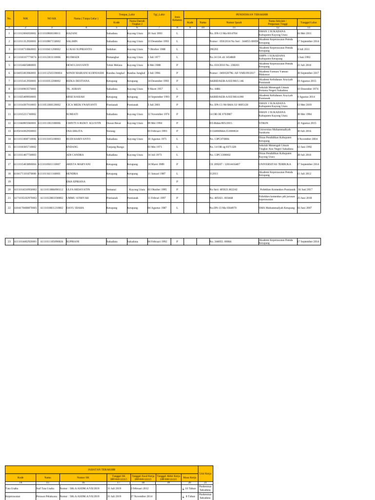 Form Isian PTT Puskesmas Sukadana TA.2022 | PDF