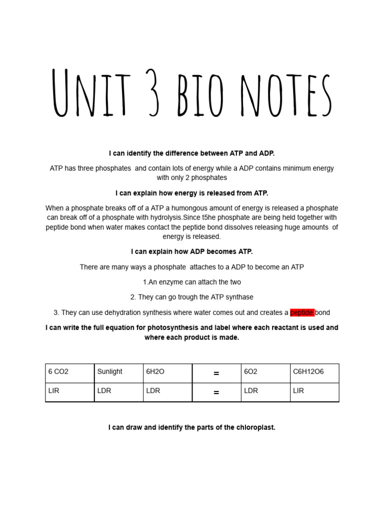 Unit 3 biology notes | PDF | Fermentation | Cellular Respiration