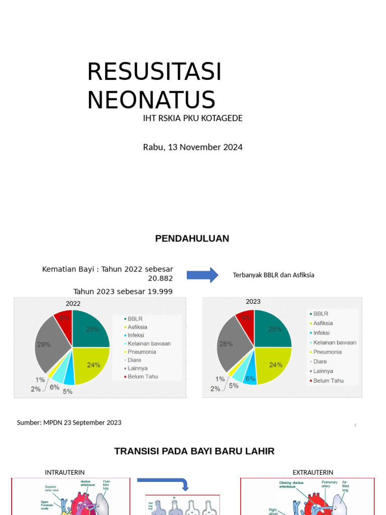 Panduan Resusitasi Neonatus 2024 | PDF