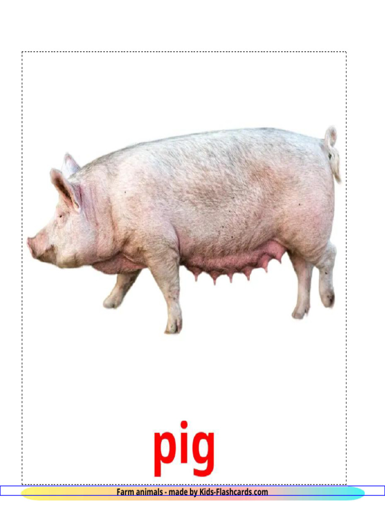 farm-animals-1-square | PDF