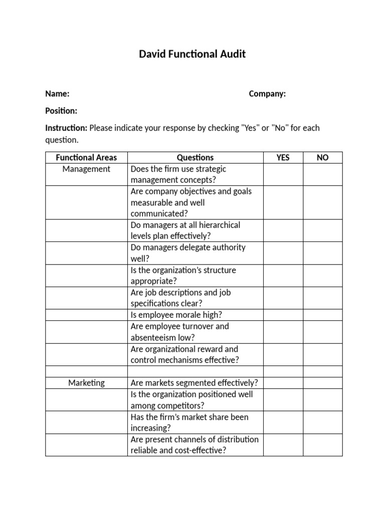 David-Functional-Audit (2) | PDF | Marketing | Information