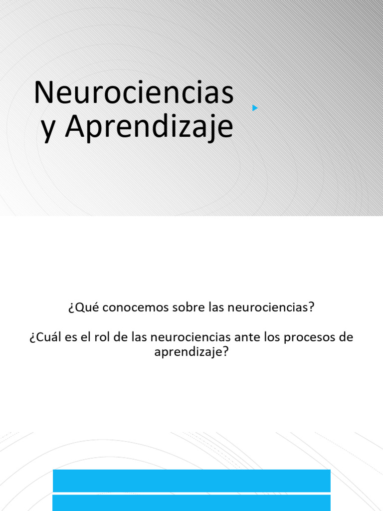 Neurociencias | PDF | Neurona | Axon