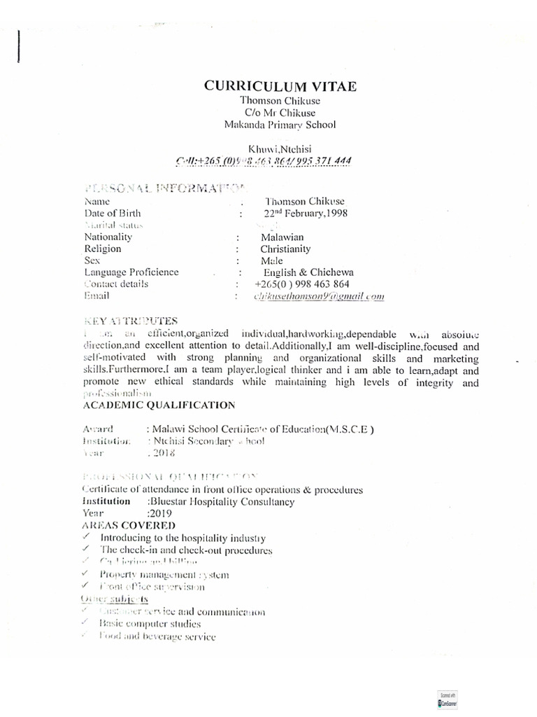 CV 1 | PDF