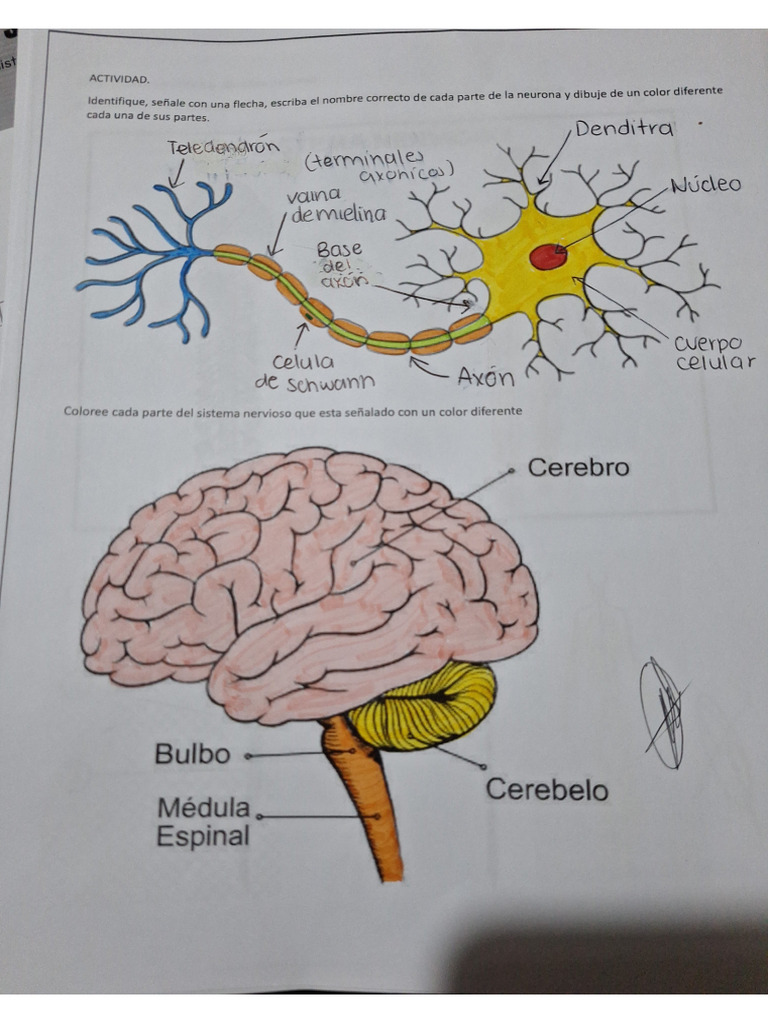 Image To PDF 20240906 19.16.03 | PDF