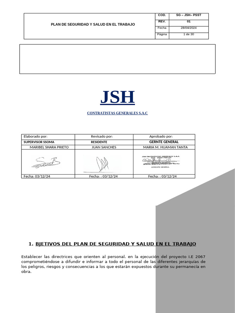 PLAN DE SST | PDF | Seguridad y salud ocupacional | Valores