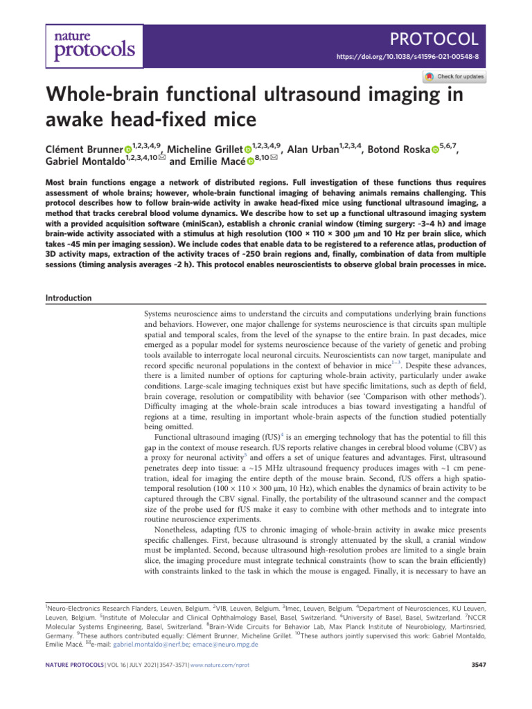 Whole-Brain Functional Ultrasound Imaging in Awake Head-Xed Mice | PDF ...