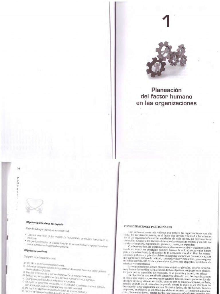 Planeacion Del Factor Humano en Las Organizaciones | PDF