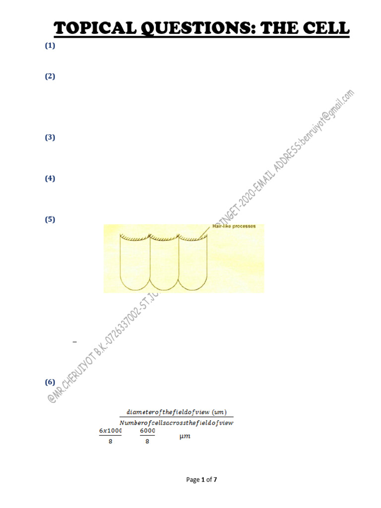 F1-Chapter 3 - The Cell - Topical Questions | PDF | Cell (Biology) | Microscope